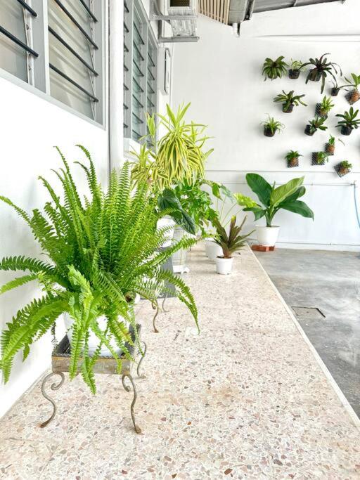 Homey Feel Pearl Cottage, George Town (updated prices 2026)