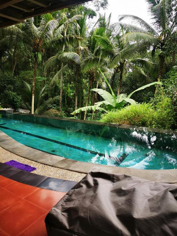 Little Jungle, Ubud (precios actualizados 2025)