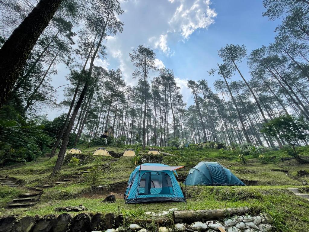 Finest Camp, Cibogo (updated prices 2025)