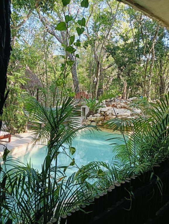 Agua & Selva luxury Jungle loft, Tulum (updated prices 2025)