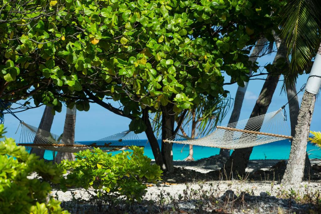 Fafarua Private Island, Tikehau (updated prices 2025)