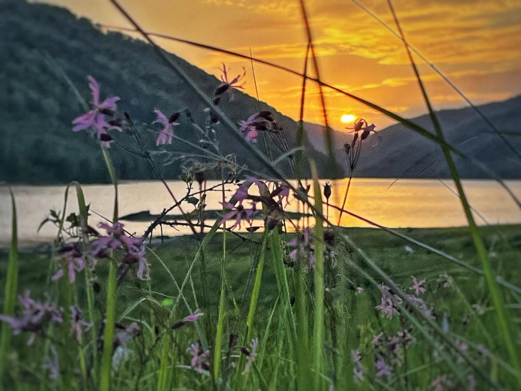 A Frame Scorilo, Poiana Mărului (updated prices 2025)