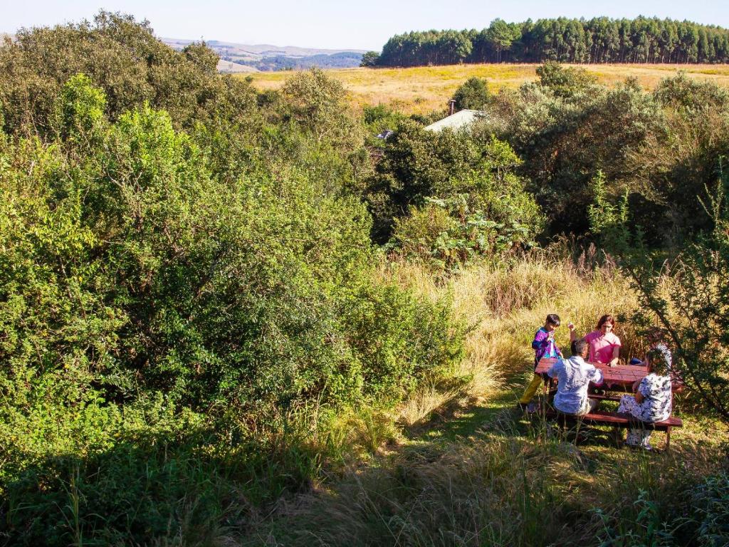 Midlands Forest Lodge, Balgowan (updated prices 2025)