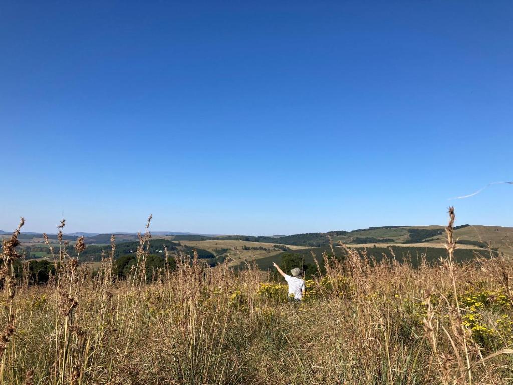 Midlands Forest Lodge, Balgowan (updated prices 2025)