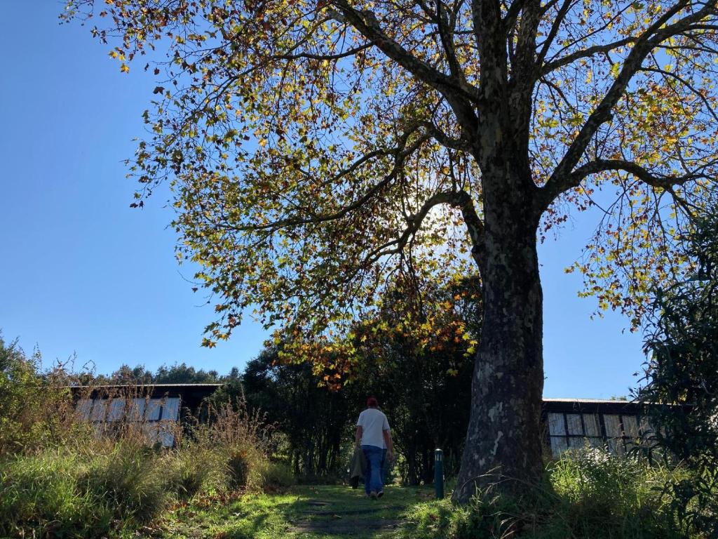 Midlands Forest Lodge, Balgowan (updated prices 2025)