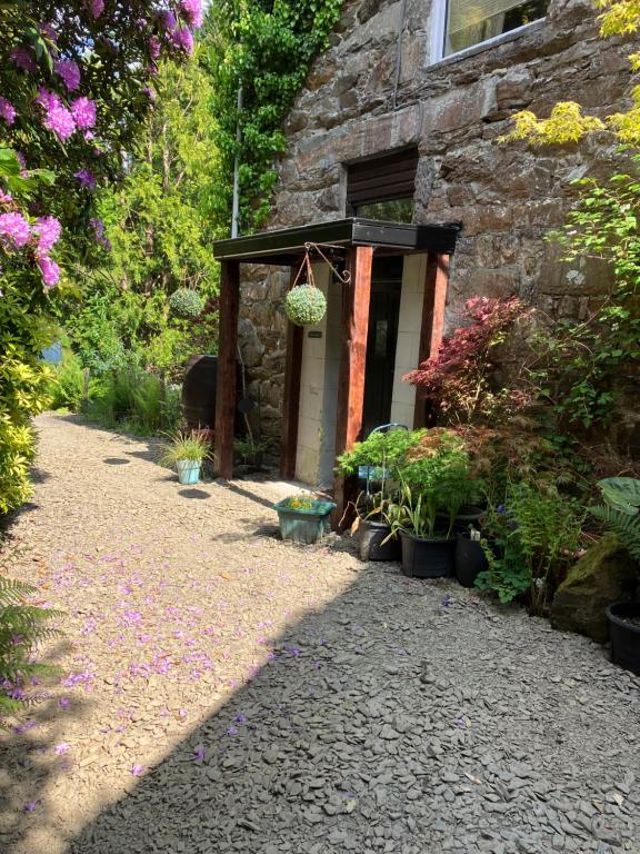 Swn y nant Barmouth road A496 Llanelltyd, Penmaenpool (updated prices 2026)