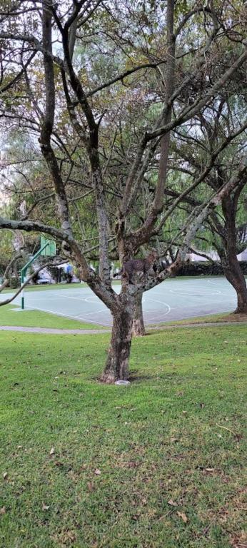 Coliving Cumbaya, Cumbayá (updated prices 2025)