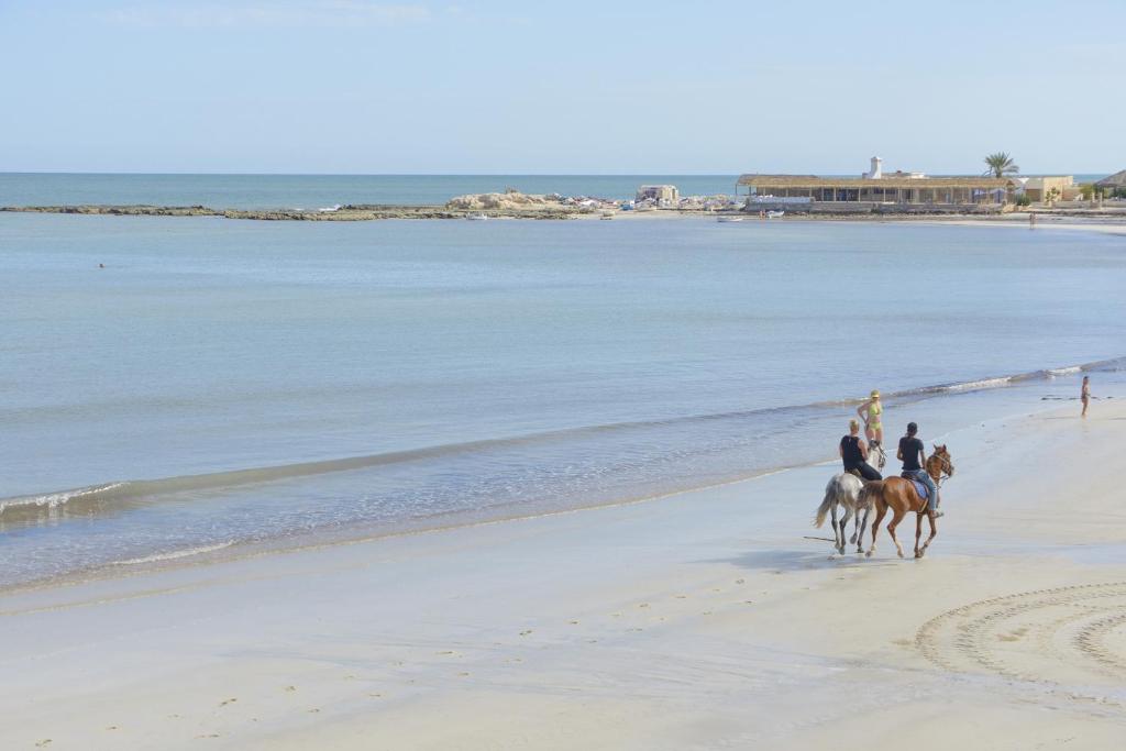 Monarque Dar Jerba Narjess- Family Only, Taguermess (updated prices 2025)