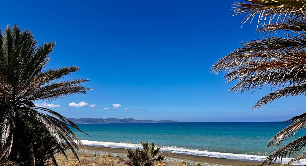 Santa Barbara Seafront villas w jacuzzi pool, Paphos City – Updated ...