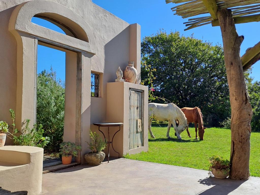 Akasha Mountain Retreat, new location, Heidelberg (updated prices 2026)