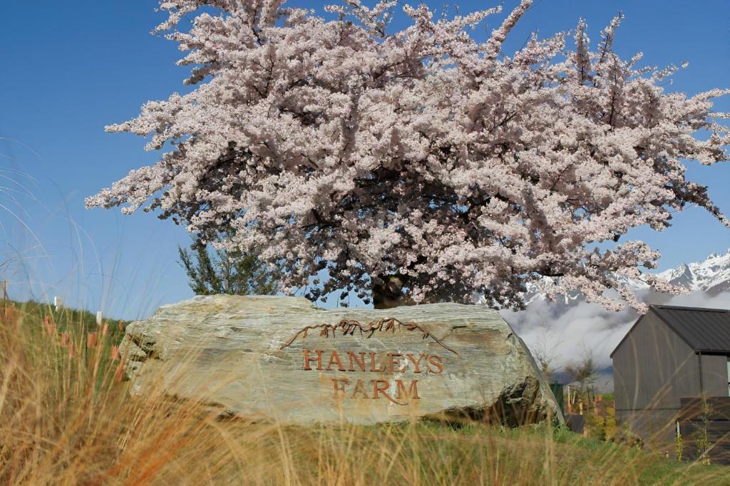 Remarkable stay in Queenstown, Frankton (updated prices 2024)