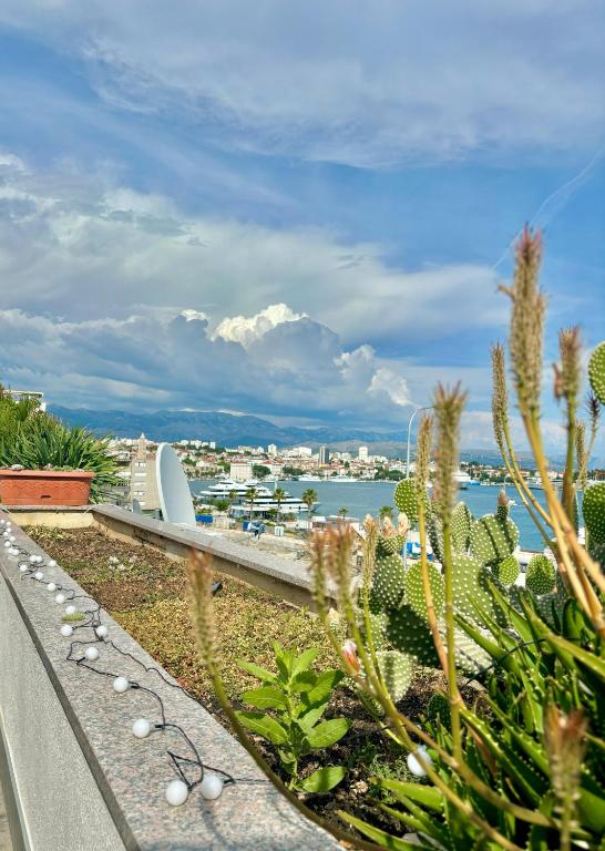 Rokasa - Split, Split (updated prices 2025)