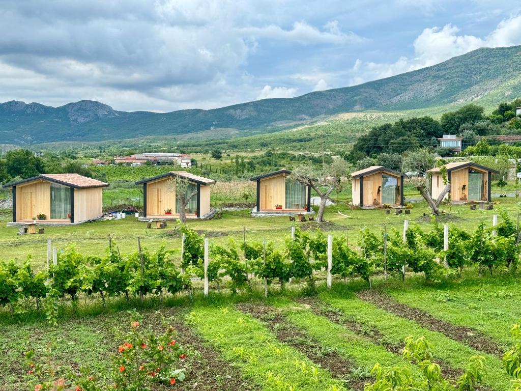 Fishta Guesthouse - Mrizi i Zanave, Fishtë (updated prices 2024)