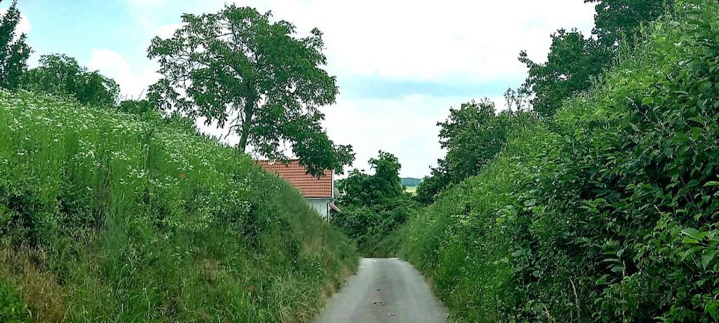 Zmajevac, kuća za odmor, vinski podrum, Zmajevac (preços atualizados ...