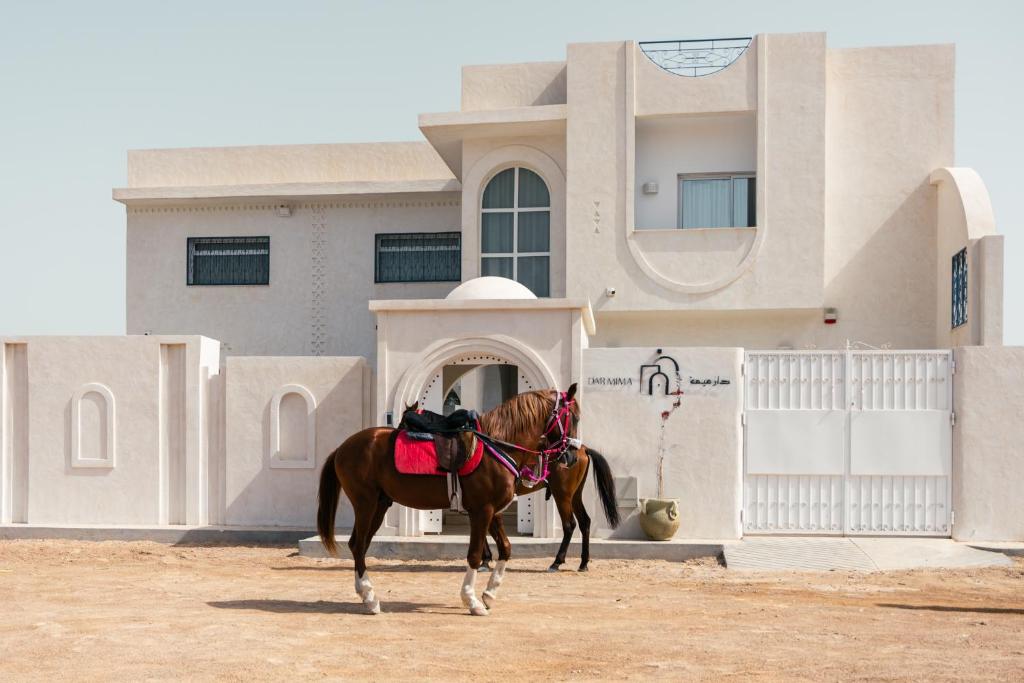 Dar Mima - Luxury Villa Djerba, Djerba (updated prices 2025)