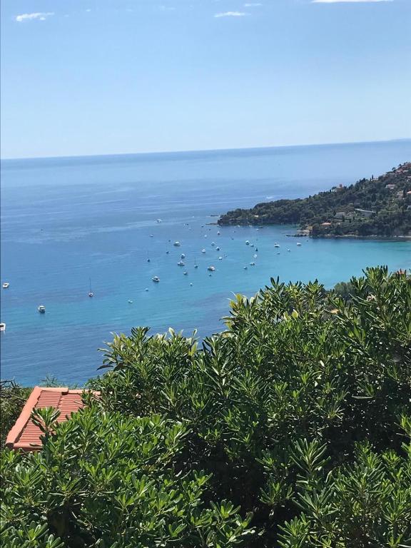 Il mare tra gli olivi, Ventimiglia (precios actualizados 2025)
