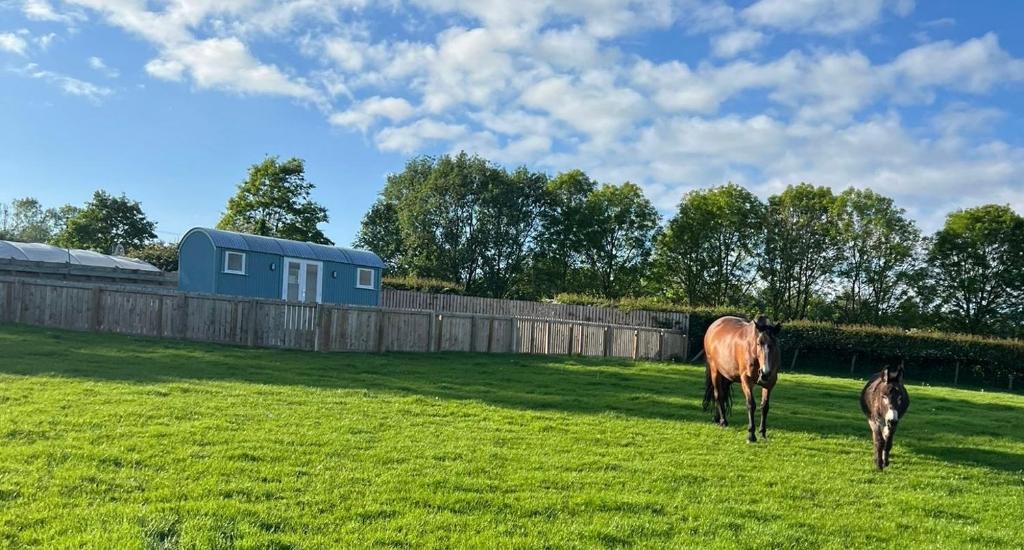 Wee Shepherds Hut Maybole, Maybole (updated prices 2025)