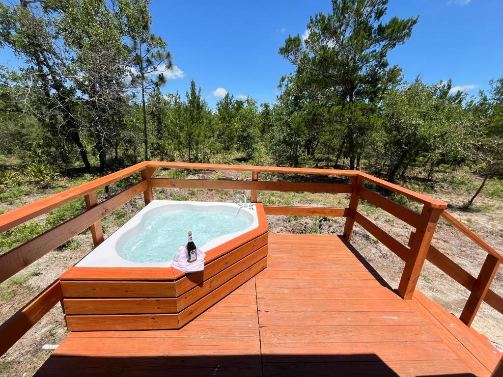 Glamping Container Stay, Fountain (updated prices 2025)