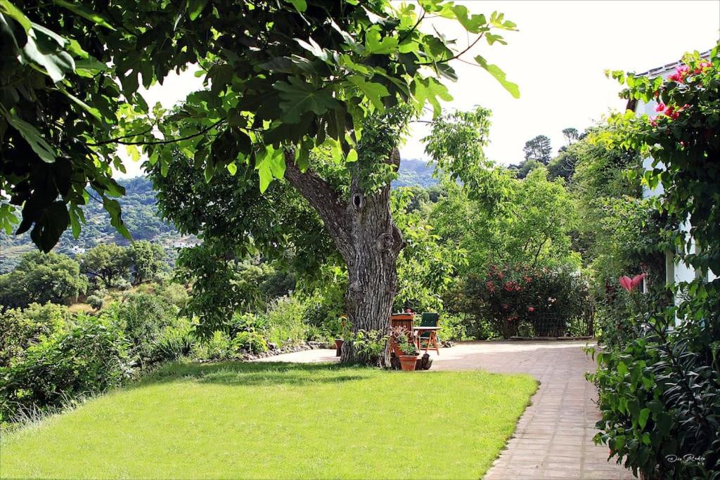 Casa Rural Los Perales, Genalguacil Jubrique, Jubrique (updated prices ...