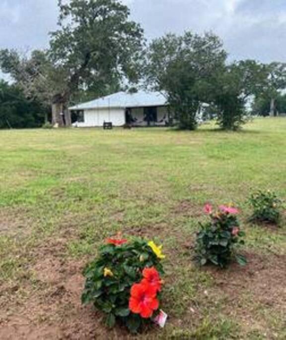 Old Oak Ranch, Cameron (updated prices 2025)