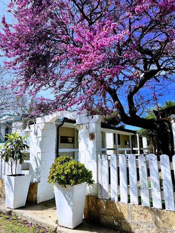 Residence "Il Faro", Isola Capo Rizzuto (updated prices 2026)