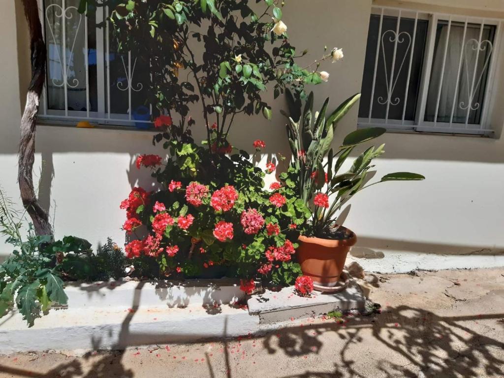 Traditional House with breathtaking view, Makis, Sívros (updated prices ...