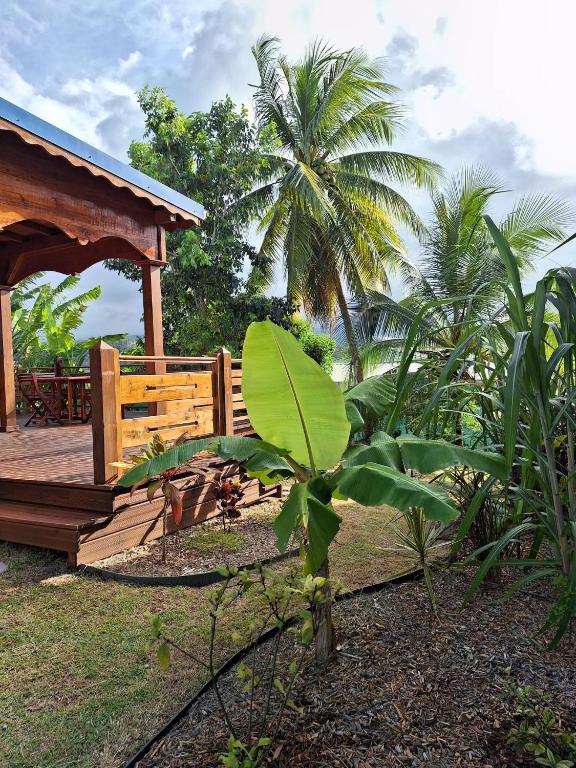 Bungalow Gwayav Lodge - votre cocon urbain chez l'habitant, Goyave ...