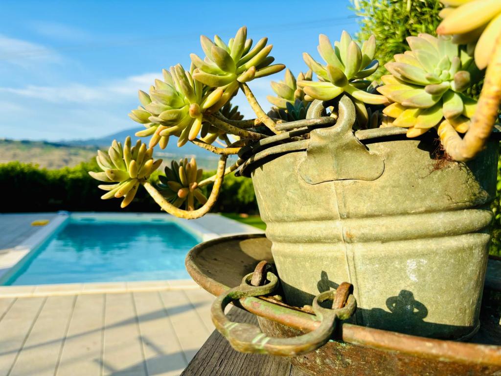 Chalet Con Piscina, Centuripe (updated prices 2025)