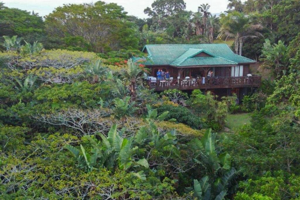 The beach tree house, Southbroom, Southbroom (updated prices 2025)