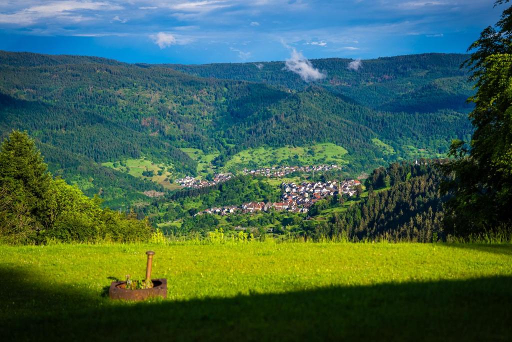 Fabelhafte Rote Lache Schwarzwald Fotos