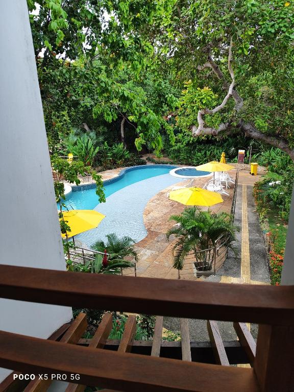 Pipa Ubaia, Pipa (aktualisierte Preise für 2025)