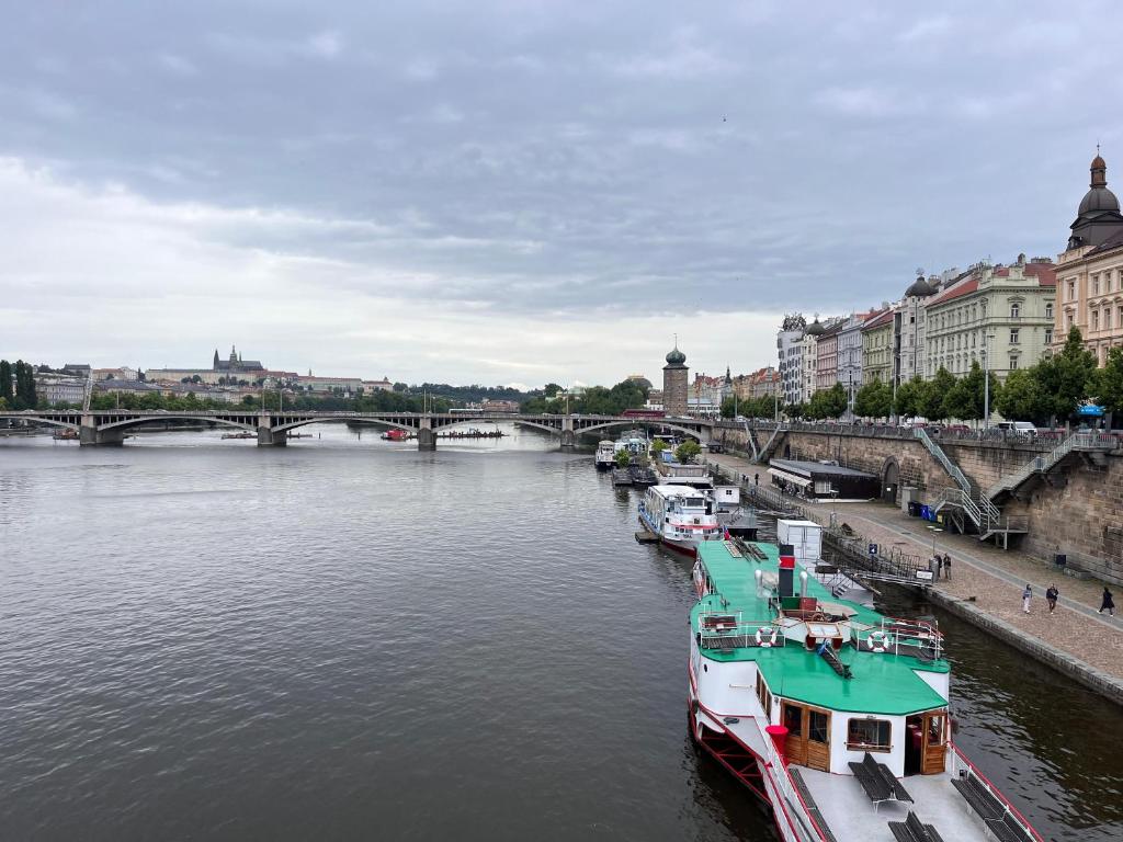 Comfortable and cosy apt a few steps from Dancing House and Naplavka ...