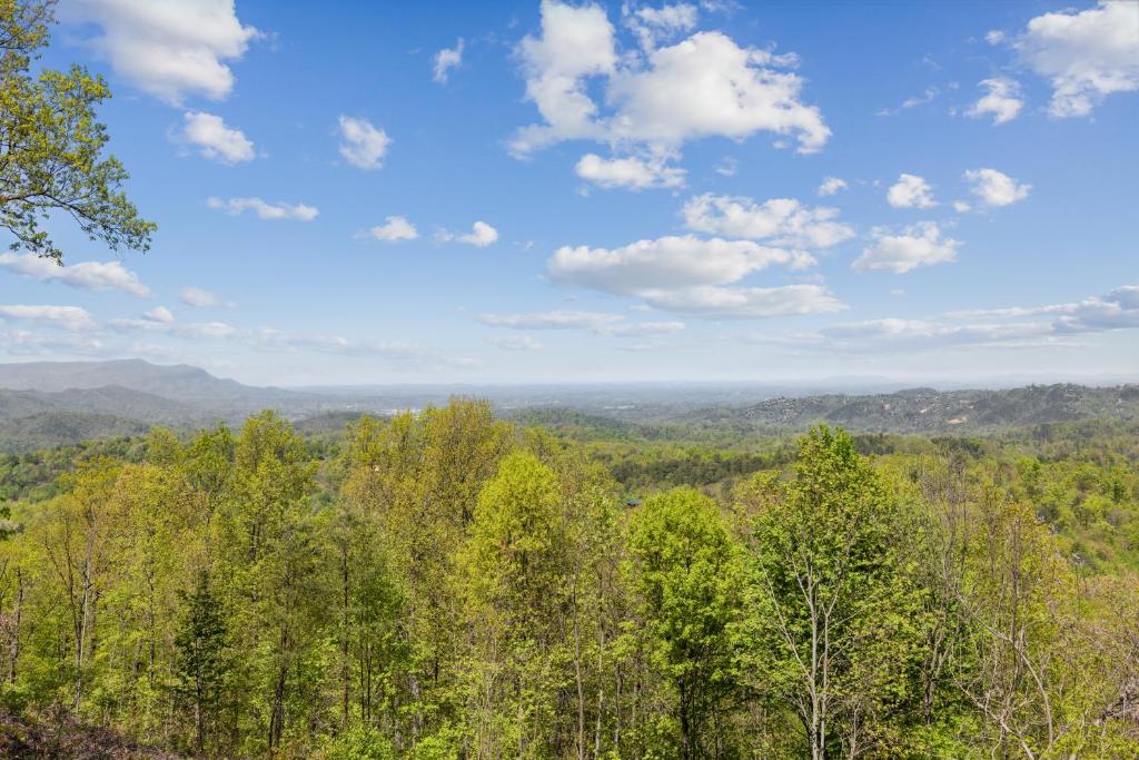 Amazing View Lodge, Your Ultimate 5-Bedroom Cabin Retreat in Sky Harbor ...