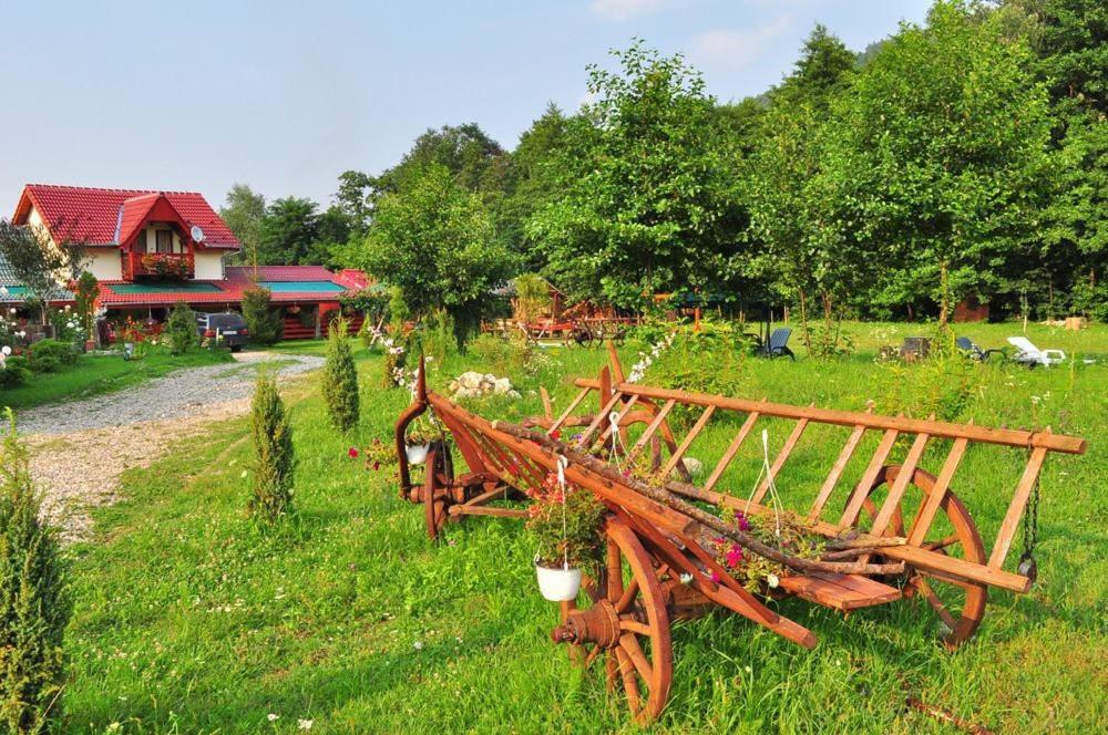 Pensiunea Cotiso in Costesti