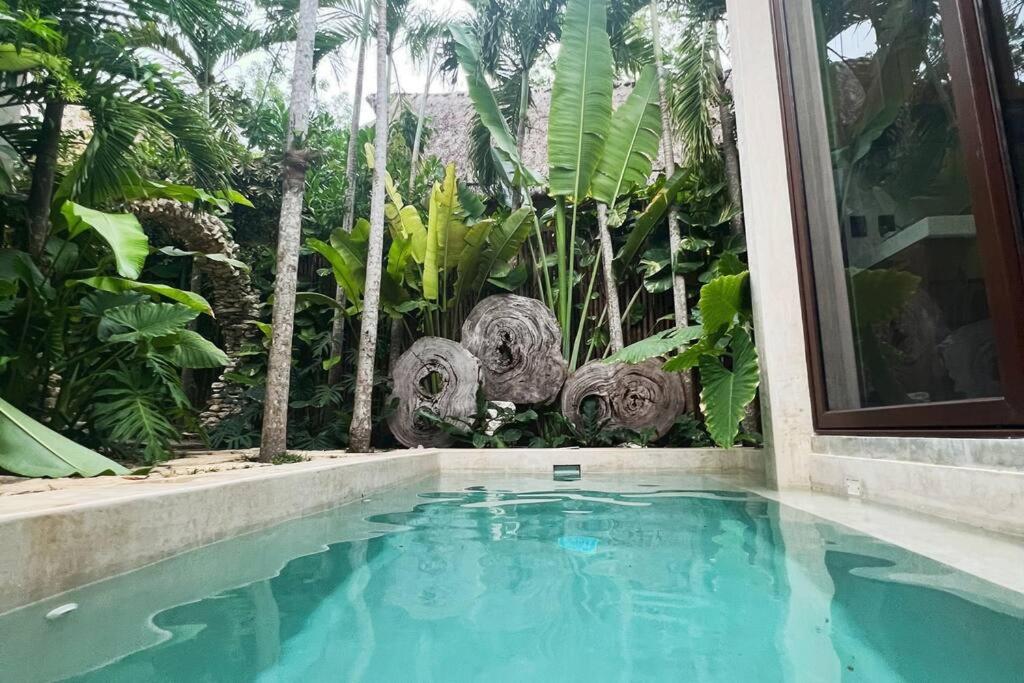 Jungle Oasis - Villa with Private Pool, Tulum (updated prices 2025)