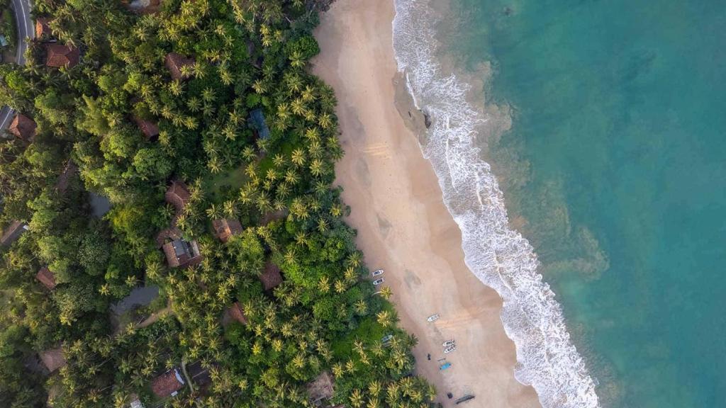 Sama Retreats - Kosgoda, Kosgoda (updated prices 2025)
