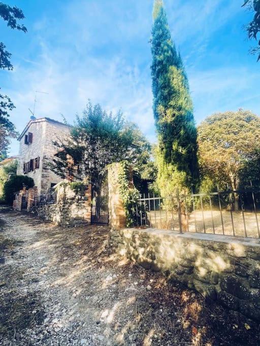 La Casina A small paradise, Caprese Michelangelo (updated prices 2024)