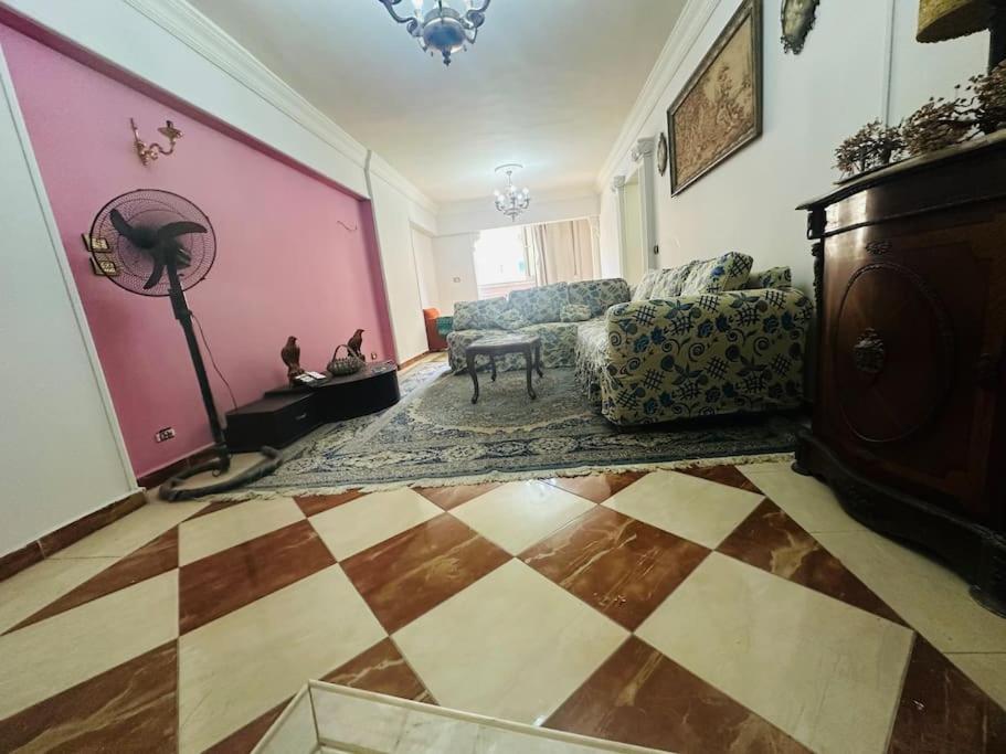 Miami High Class, Alexandría (precios actualizados 2025)