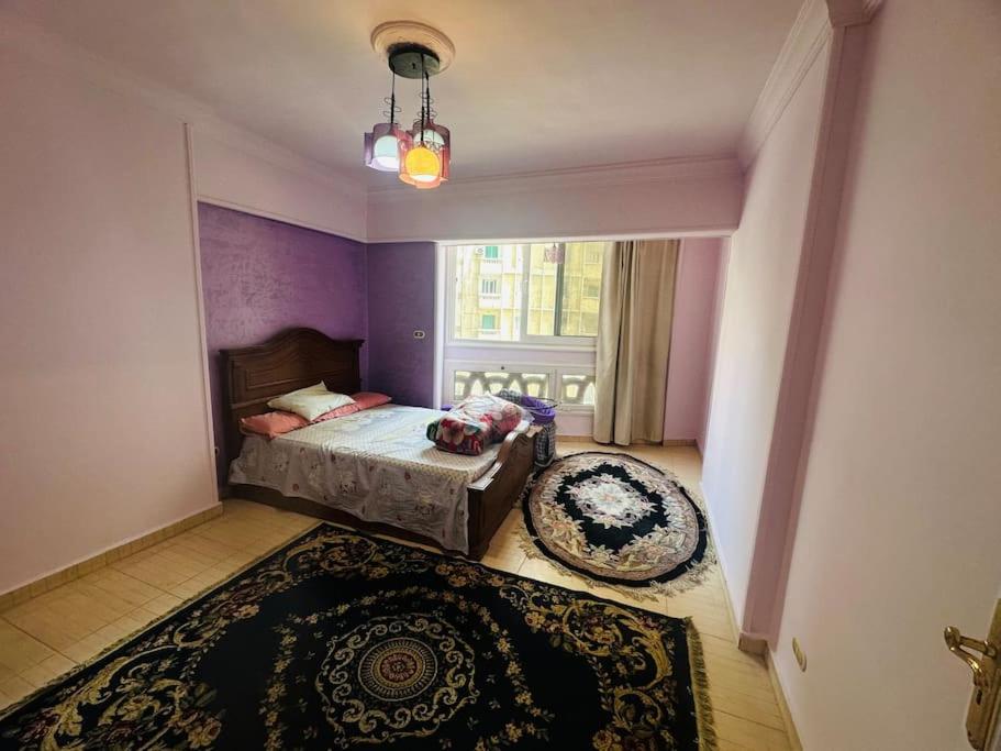 Miami High Class, Alexandría – Precios 2024 actualizados