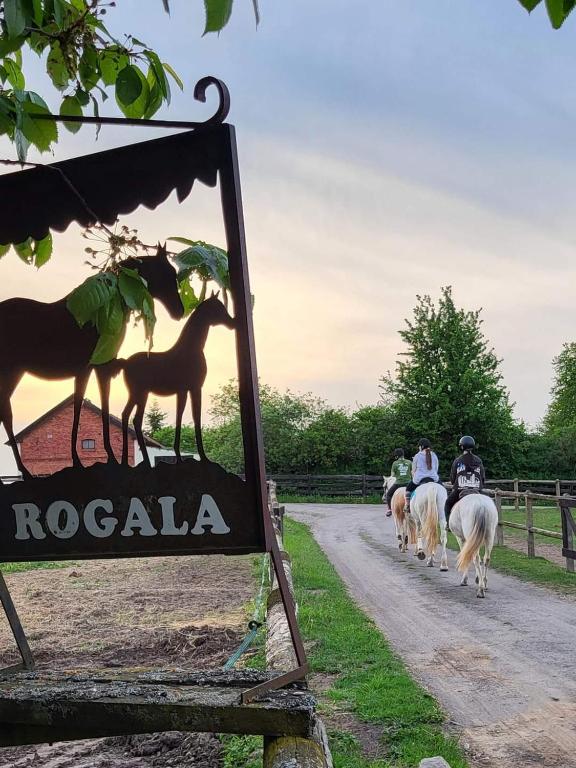 Stajnia Rogala, Ostrowin (updated prices 2025)