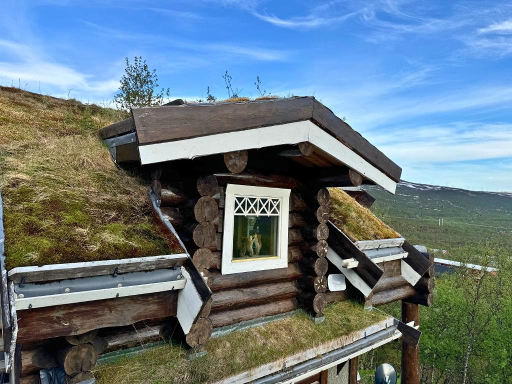 Unique Arctic Timber Cabin, Skaidi (updated prices 2026)