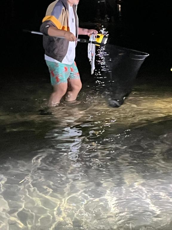 Bluewater sanctuary, Point Clare (precios actualizados 2025)