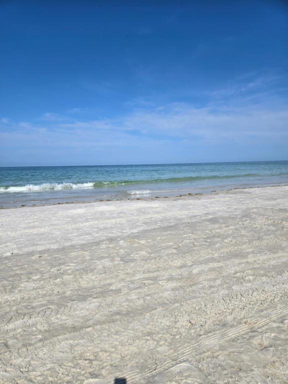 Seaside Palm Tree Paradise, Clearwater Beach (tarifs actualisés 2024)