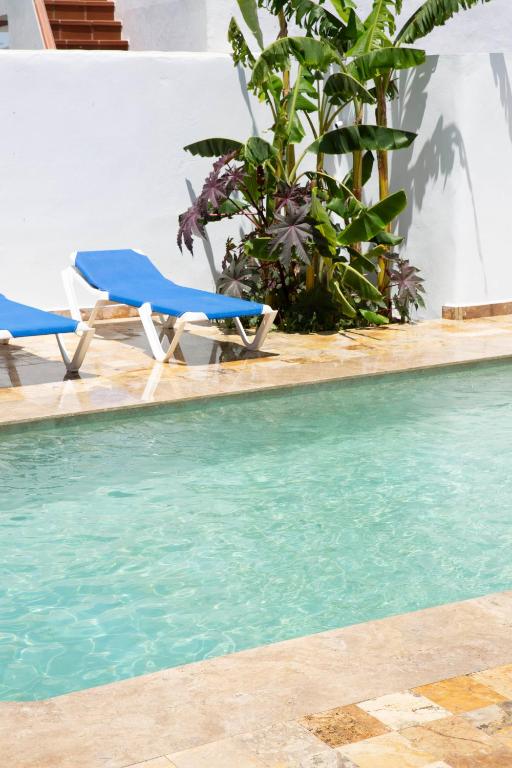 La Floristería Zahora, Zahora (precios actualizados 2026)