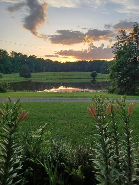 Lakeview Cabin, Goldvein (updated prices 2025)