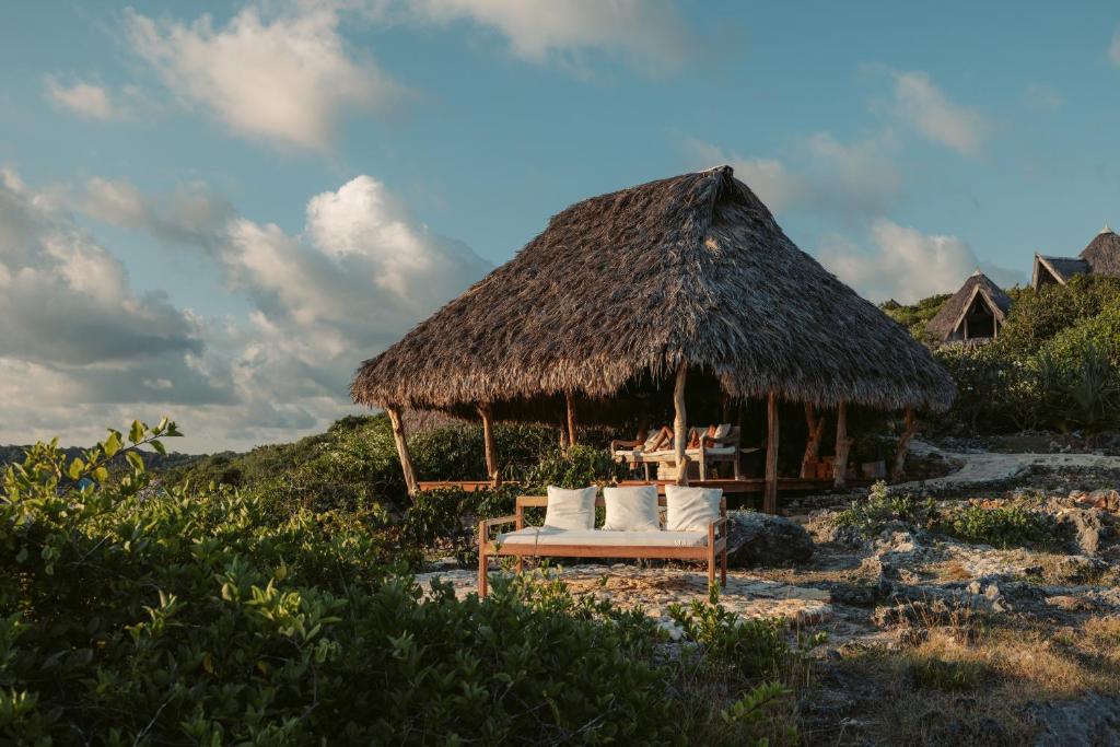 Bo'a Vida Rote, Nembrala (updated prices 2025)