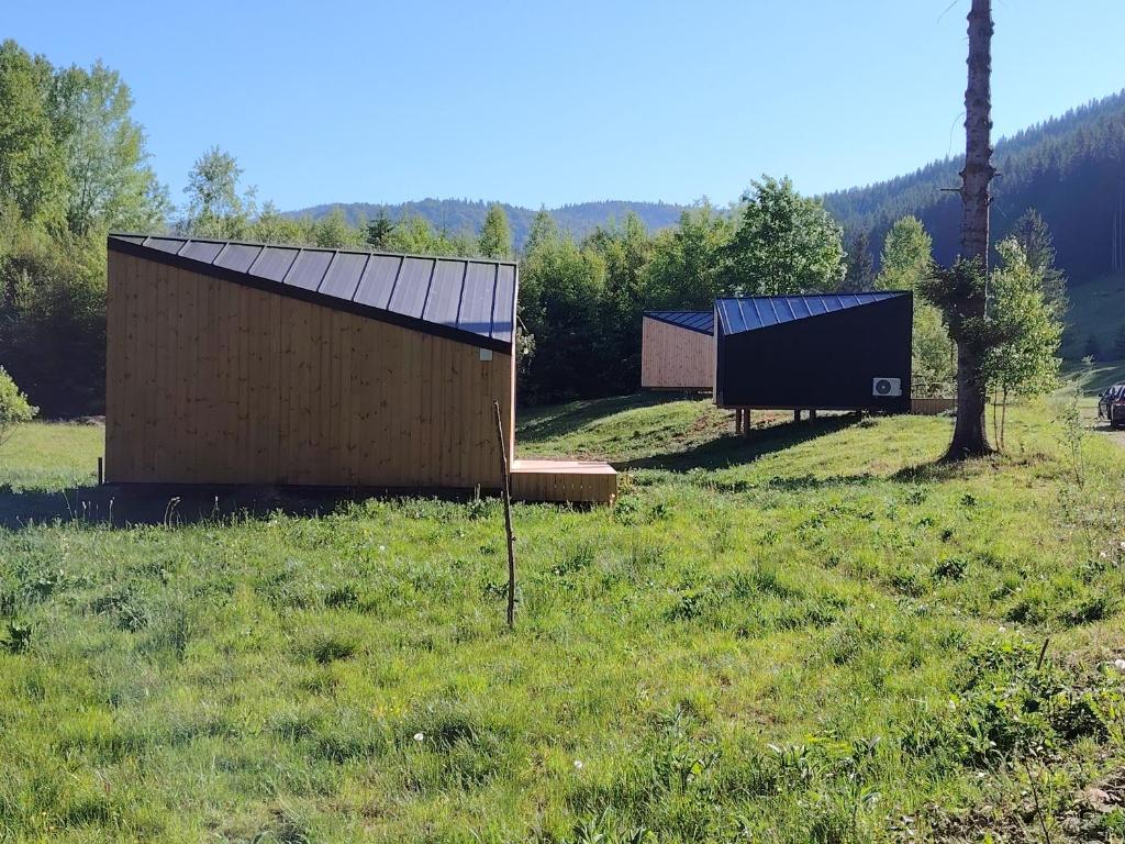 Sabasa Forest, Borca – Updated 2024 Prices