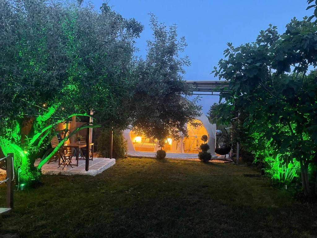 Ellie's Eco Private Glamping and Spa, Nea Kalikratia (updated prices 2024)