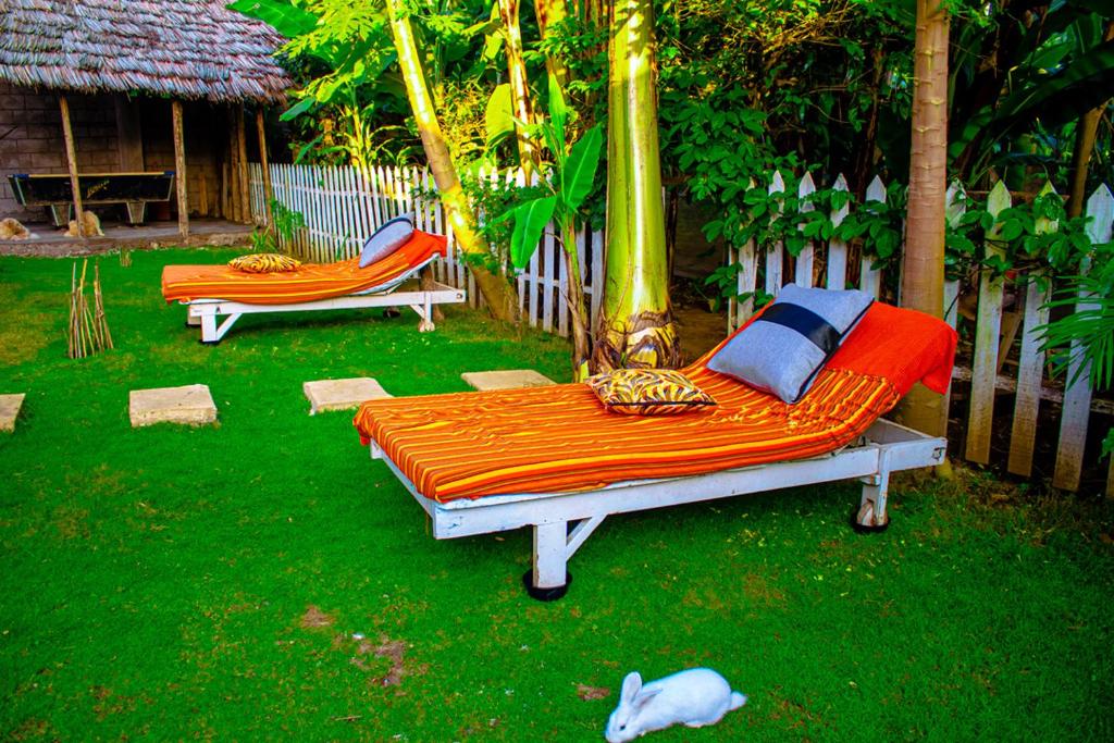 Arusha Jua home, Arusha (updated prices 2024)