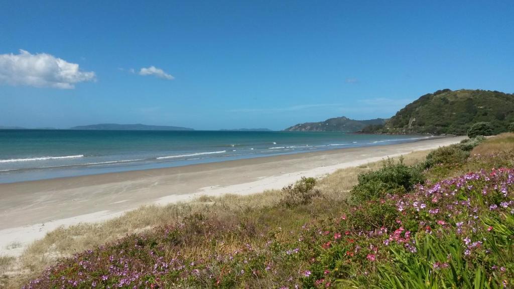 Waimaire Matarangi, Matarangi (updated prices 2026)